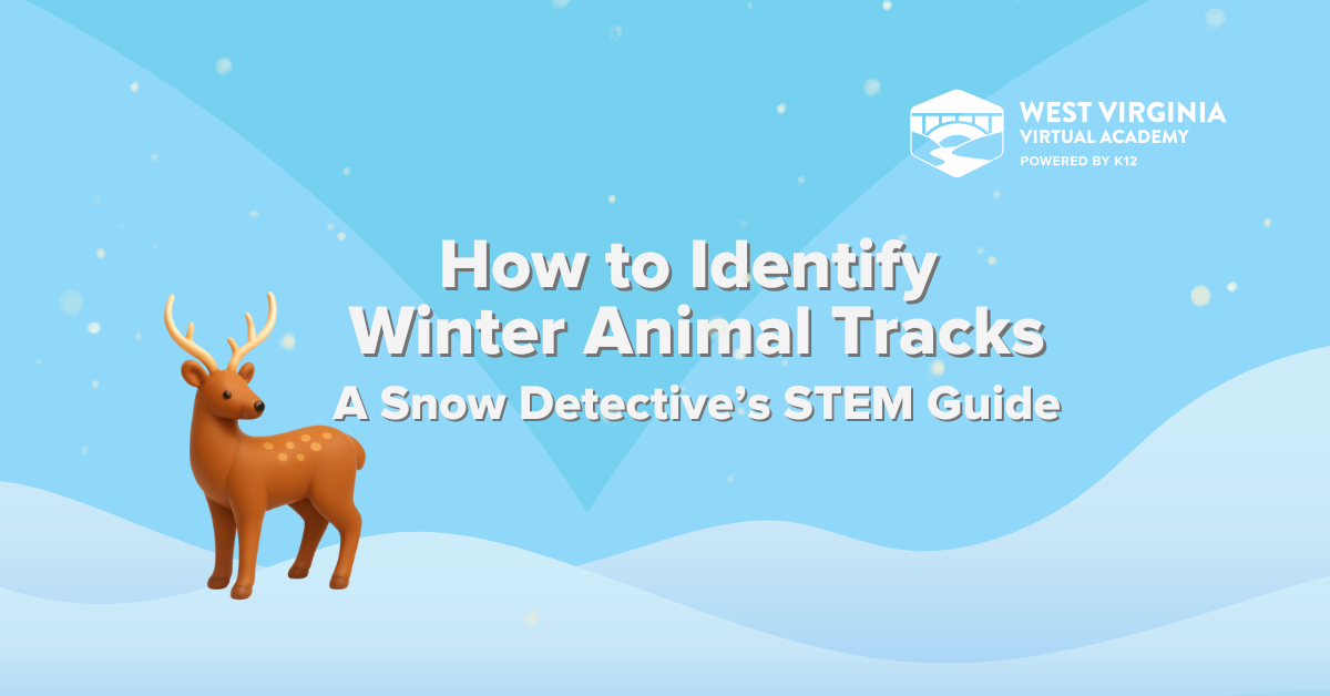 How to Identify Winter Animal Tracks: A Snow Detectives STEM Activity ...